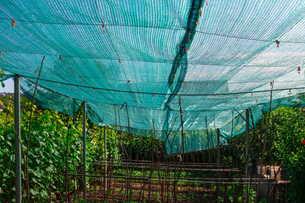 Premium Shade Nets in Dubai | Durable & Quality Shades
